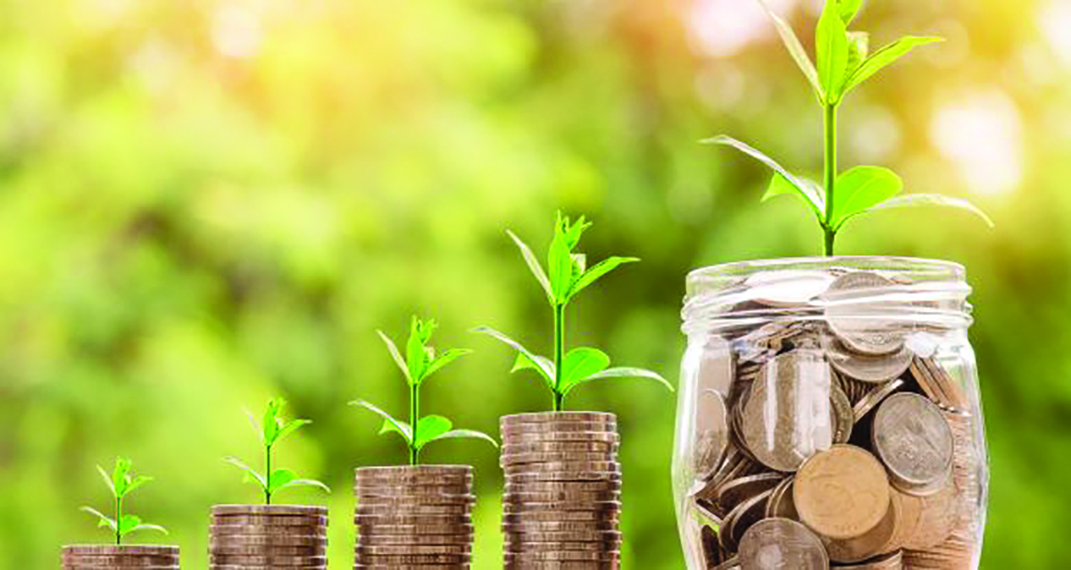 What I Wish I Had Known About Stewardship | The Sabbath Recorder